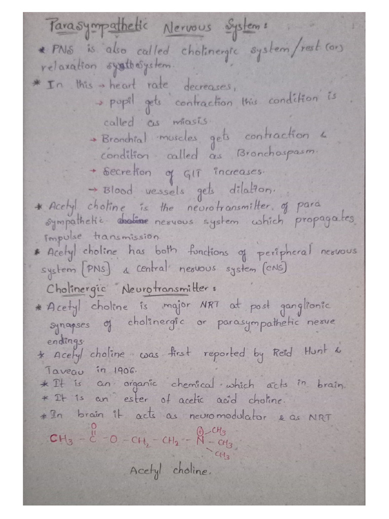 MC Notes Cholinergic System | PDF