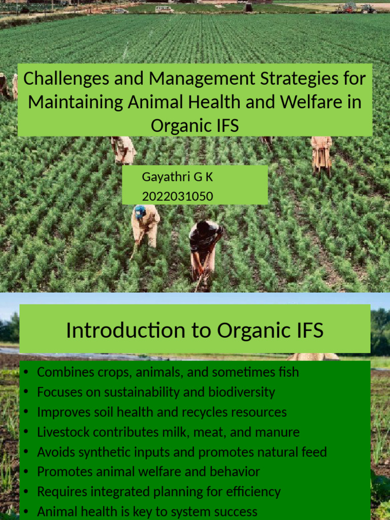 Animal Health in Organic IFS: Challenges & Strategies | PDF ...