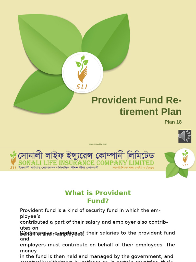 Provident Fund Retirement Plan | PDF | Pension | Employment