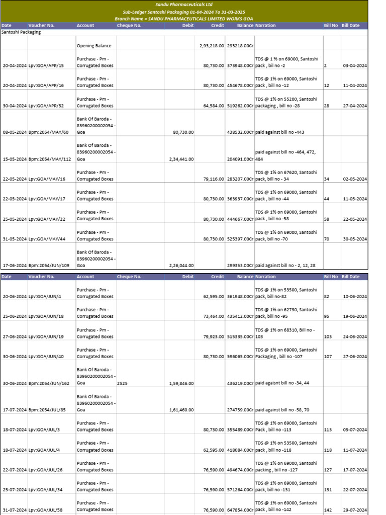 Santoshi Packaging 2024-25 | PDF | Banks | Debits And Credits