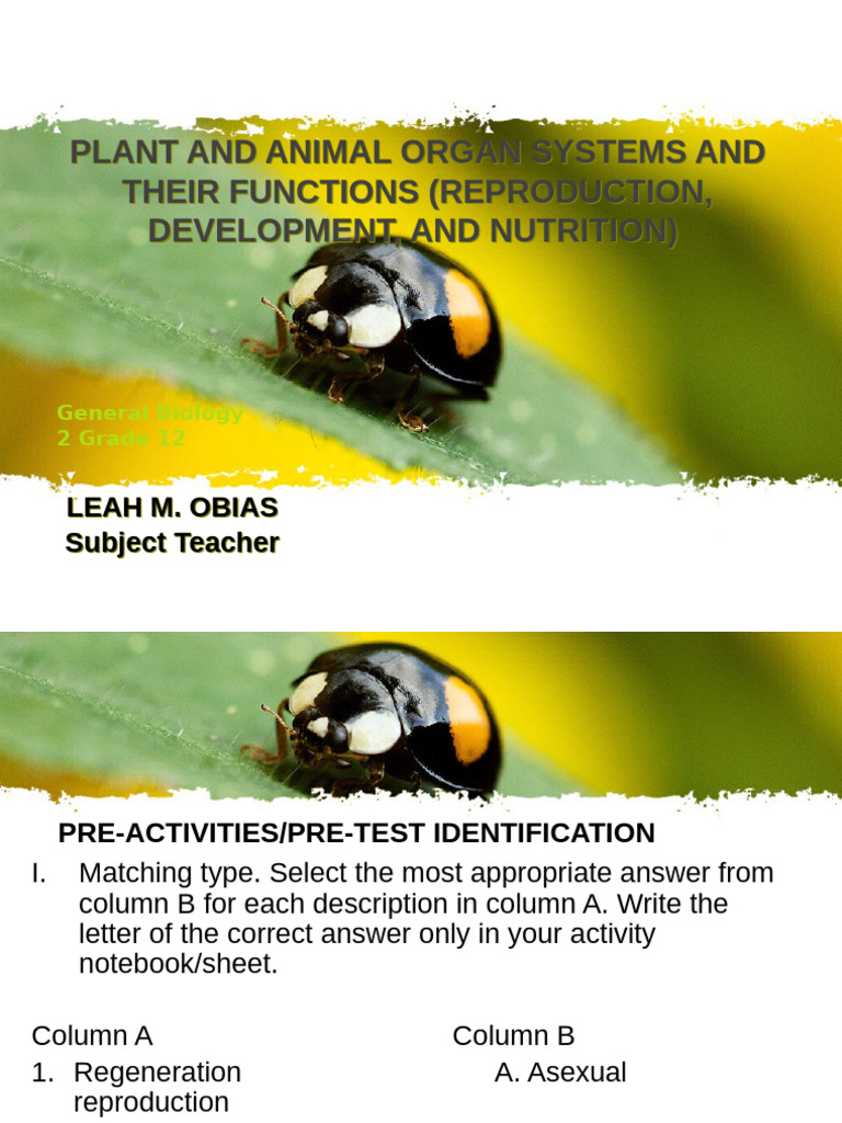 Plant and Animal Organ Systems and Their Functions Gen. Bio 2 Week 1 ...