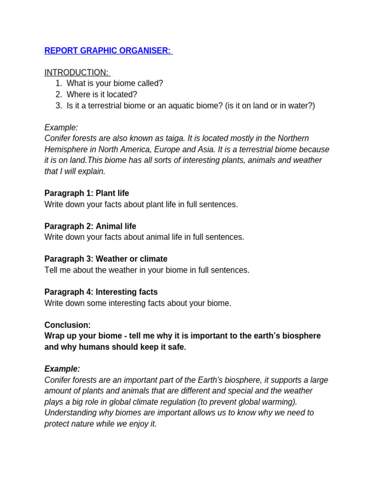 Report Graphic Organiser | PDF