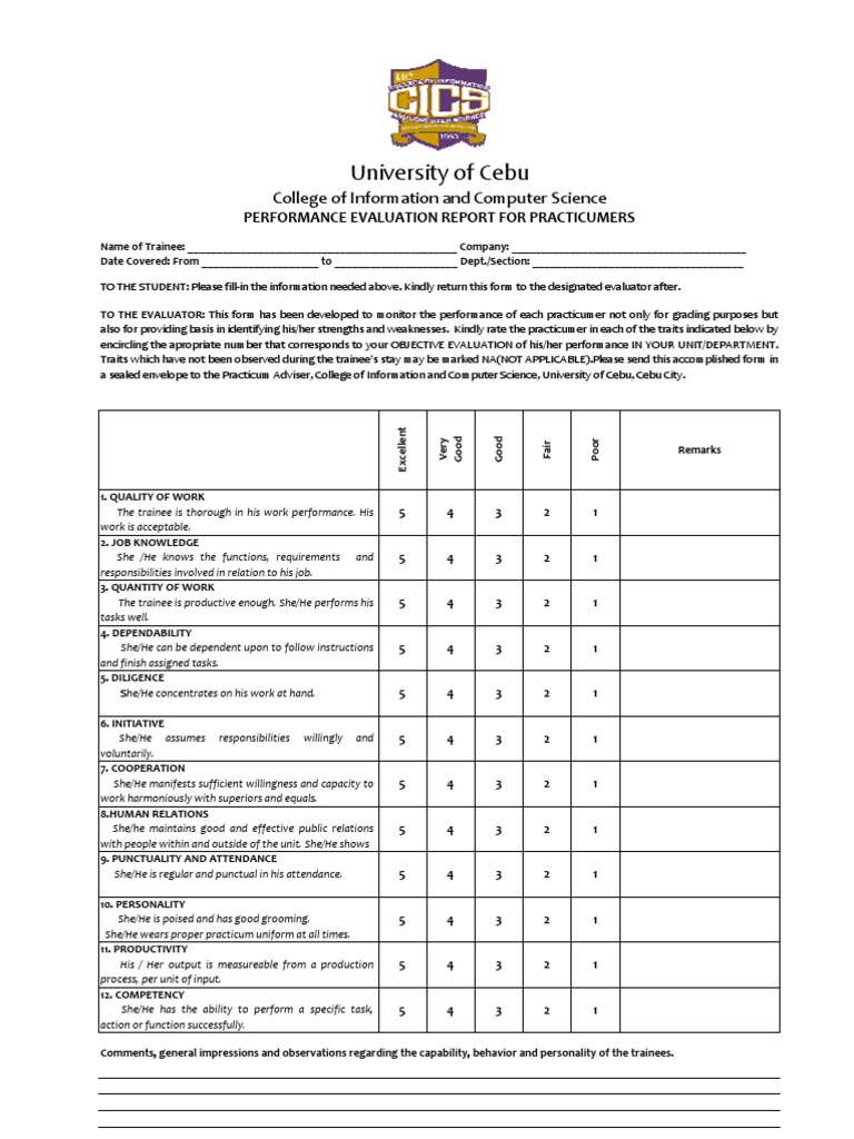 Practicum Performance Report | PDF | Information | Input/Output