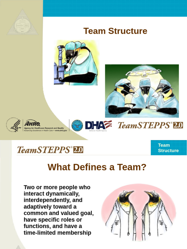 Slteamstructure | PDF