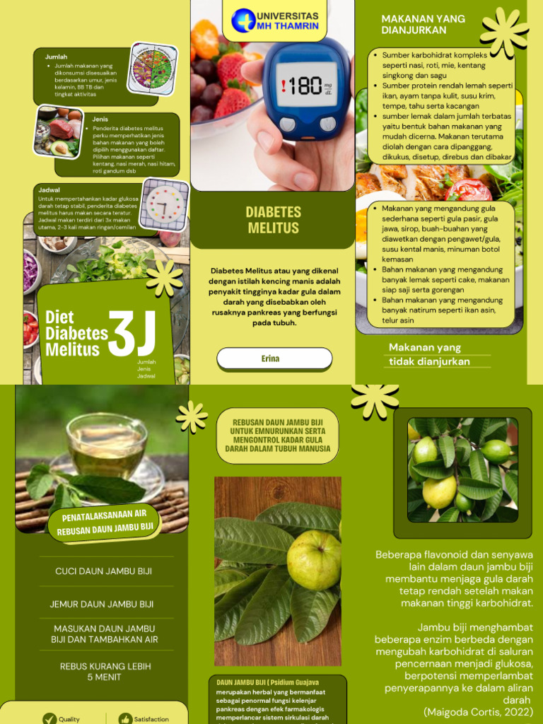 Erina Leaflet DM | PDF