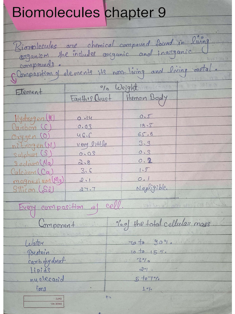 Biomolecules Chapter 9 Zoology | PDF