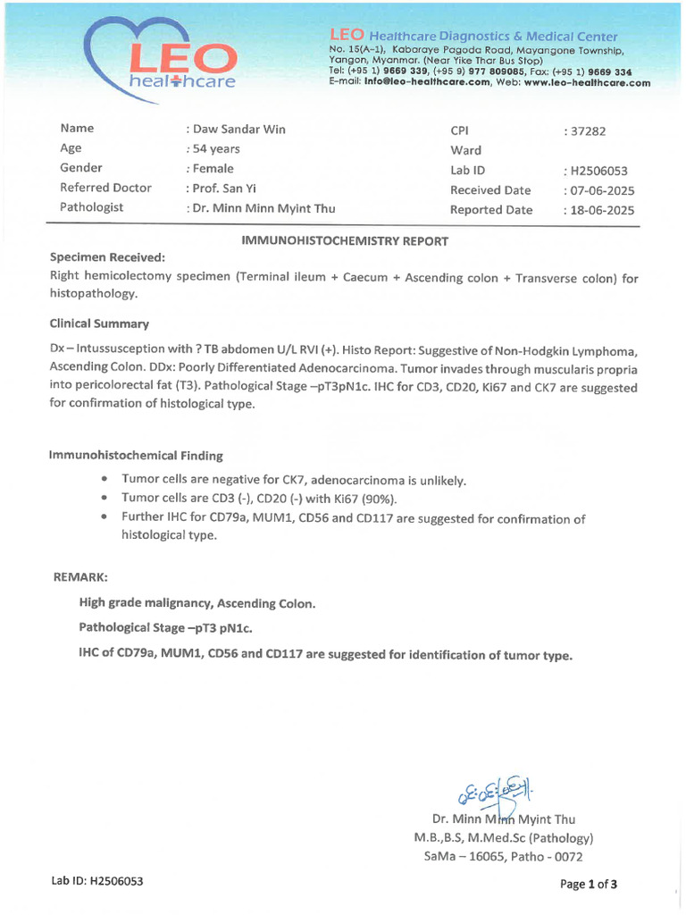 Daw Sandar Win | PDF