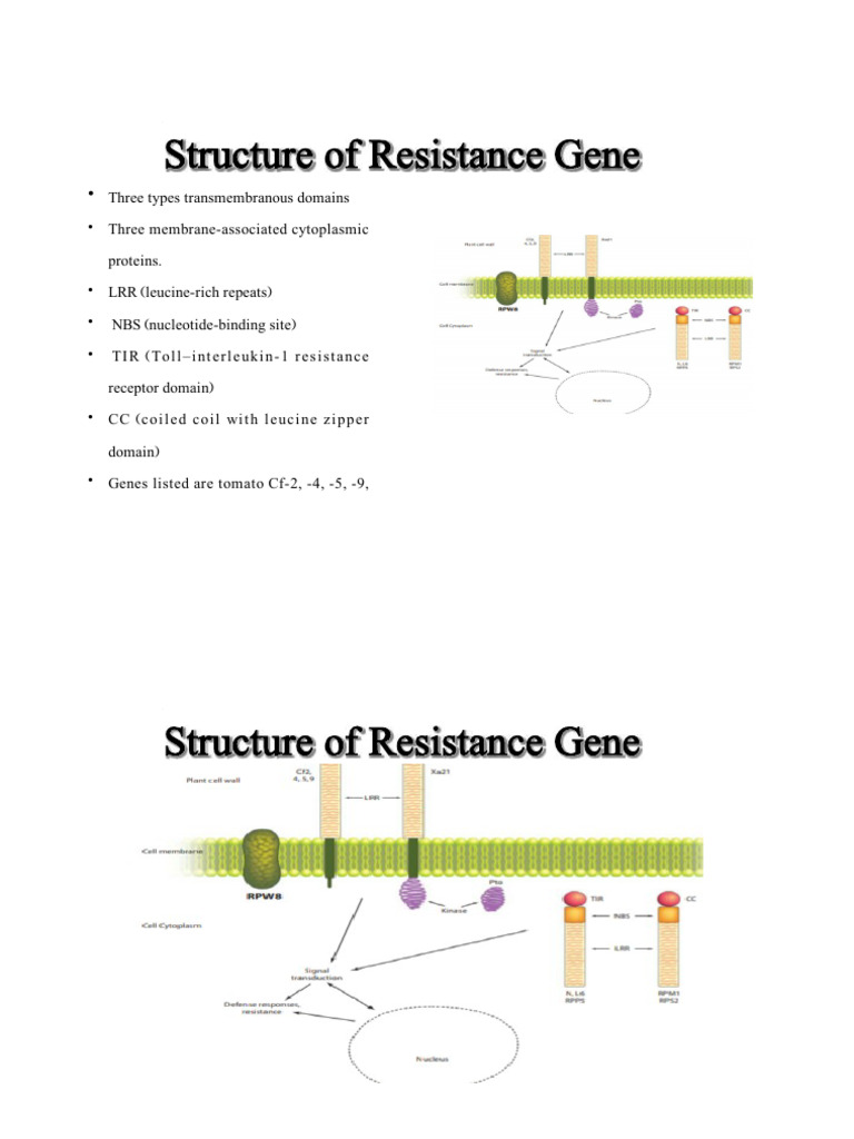 Horizontal Resistance | PDF