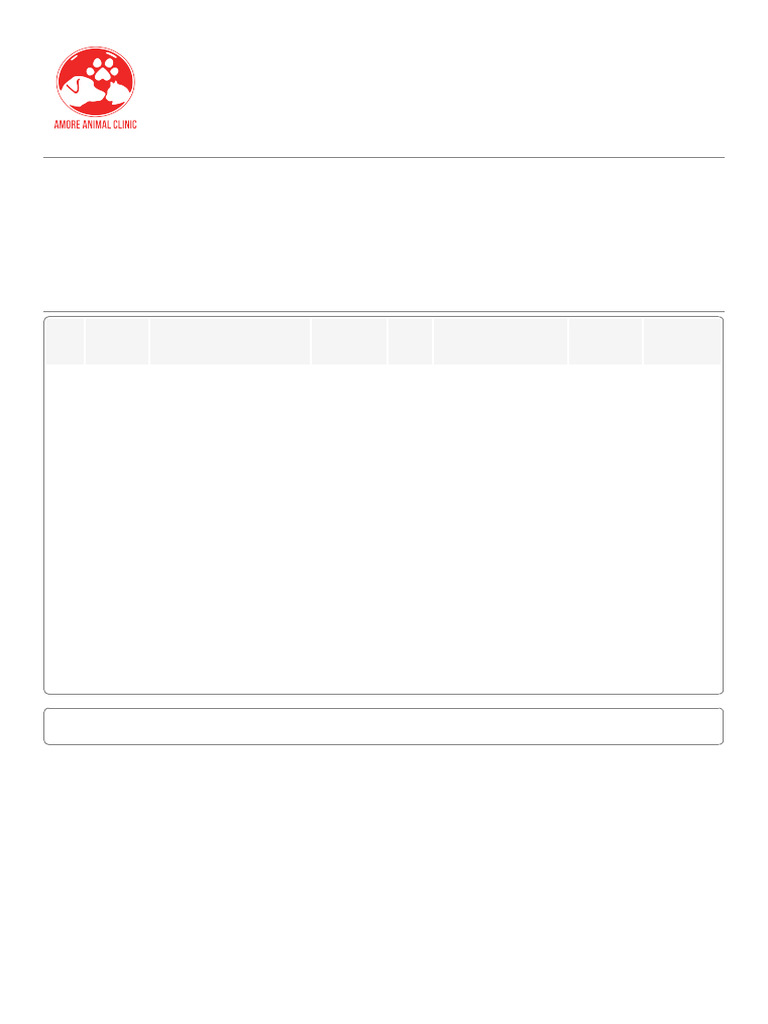 Invoice Lunas Kucing Macha | PDF