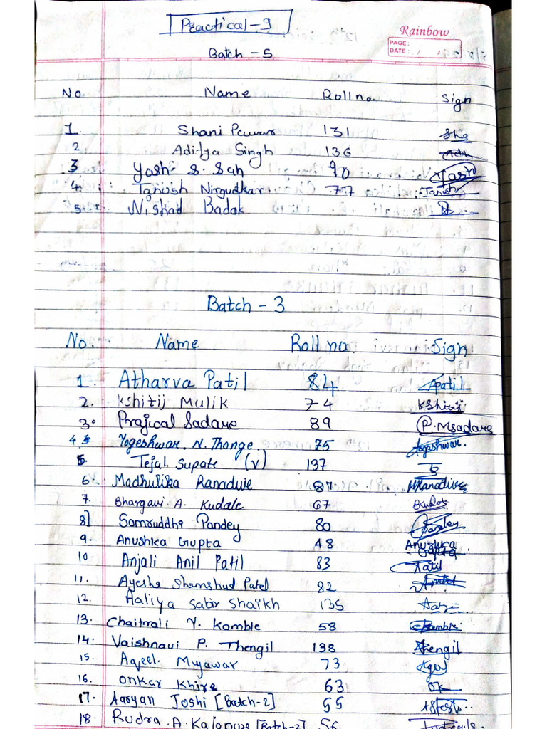 Maths Practical Attendance | PDF