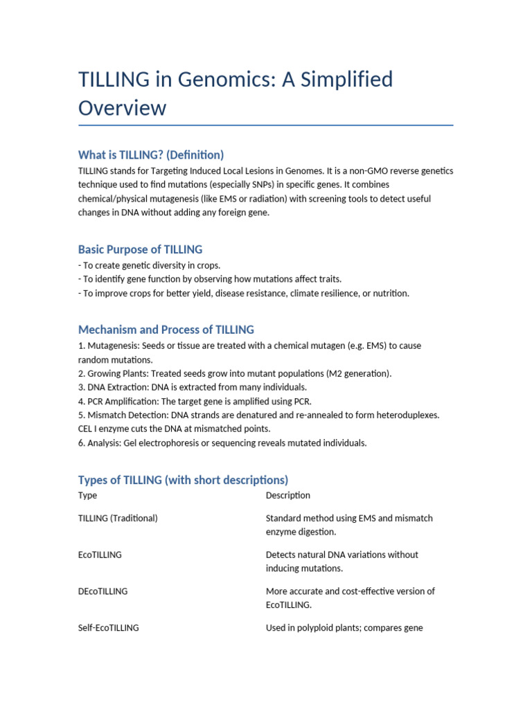 TILLING Simplified Overview | PDF | Mutation | Gene