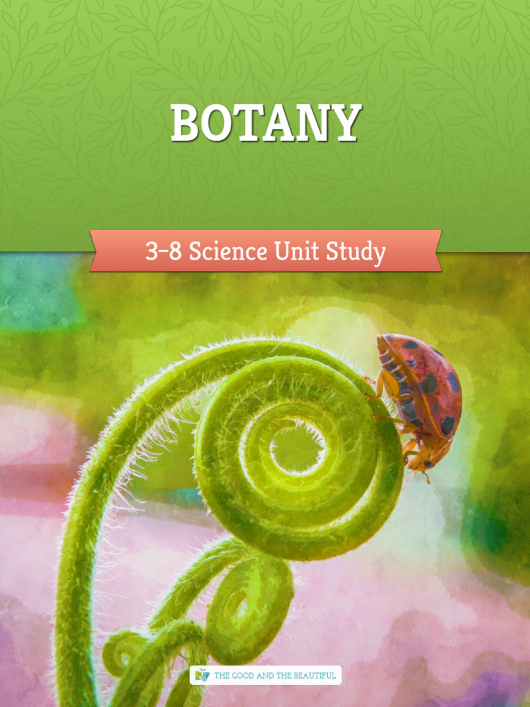 Botany Unit Study Overview | PDF | Leaf | Cell (Biology)