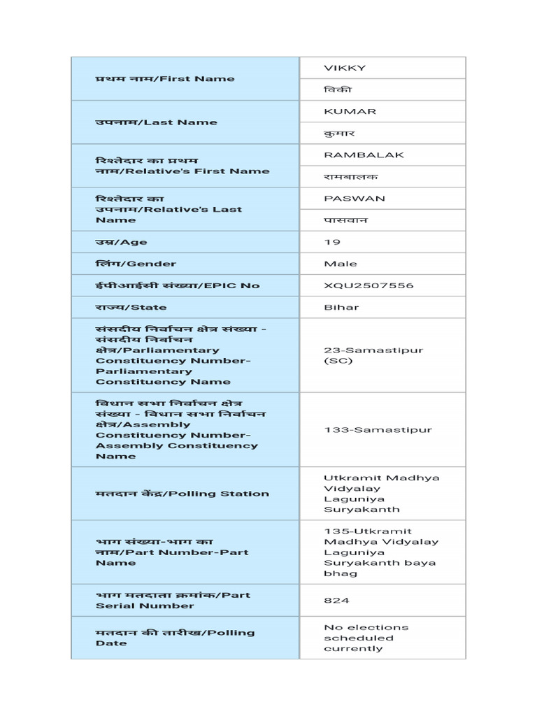 Voter Information | PDF