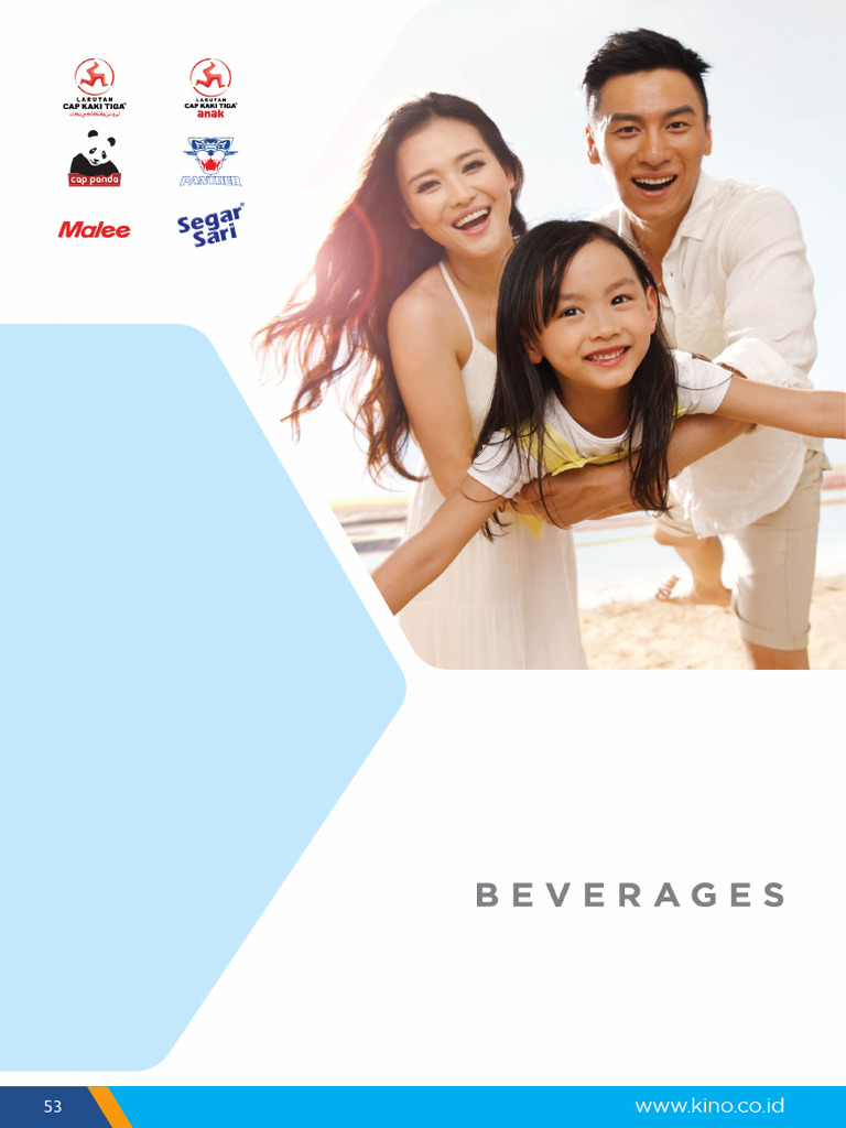 E Catalog BV | PDF
