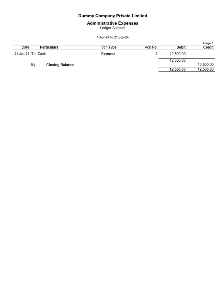 Dummy | PDF | Debits And Credits | Business