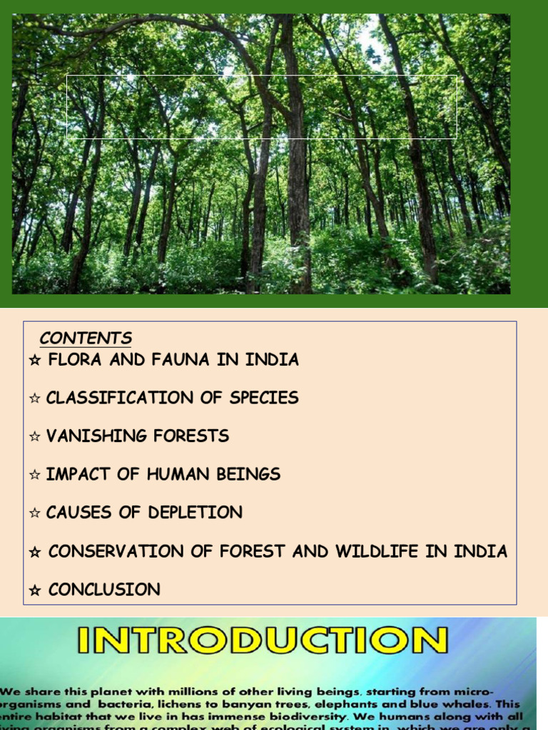 Forest and Wildlife Resources PPT CH-2 GEO Class 10th | PDF