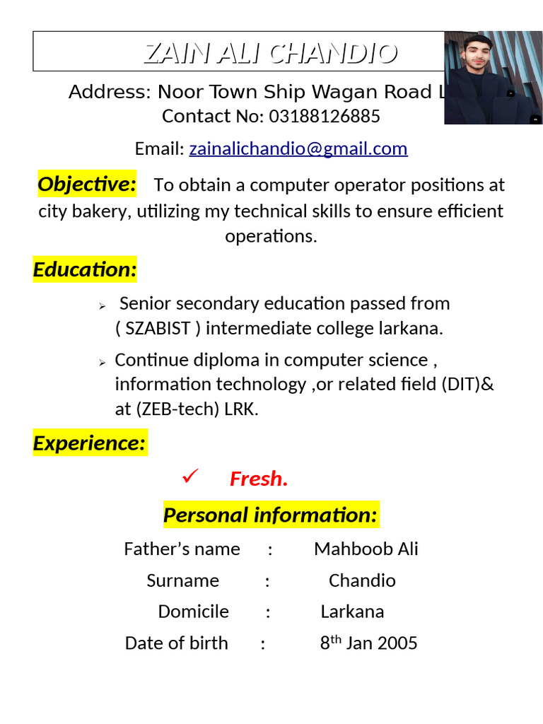 Zain's (CV) | PDF