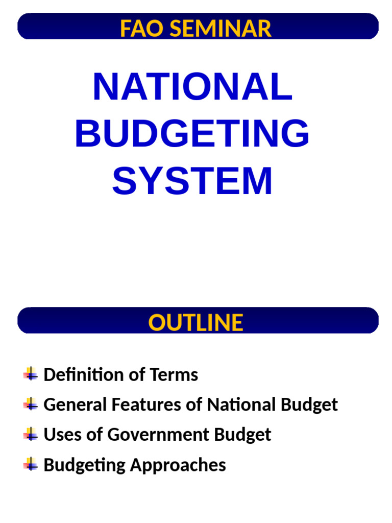 FAO National Budgeting System | PDF | Budget | Utility