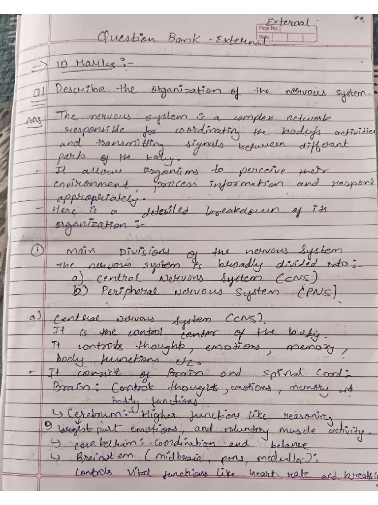 HAP External 10 Marks | PDF