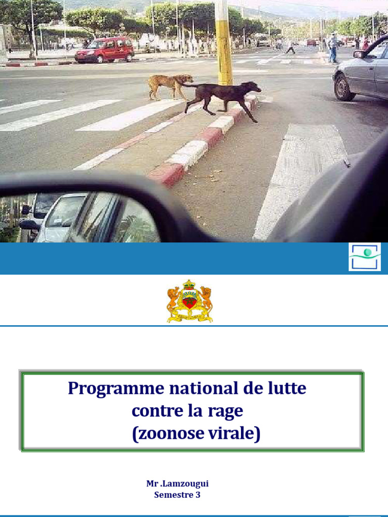 Lutte contre la rage au Maroc: Programme et Vaccins | PDF | Rage ...