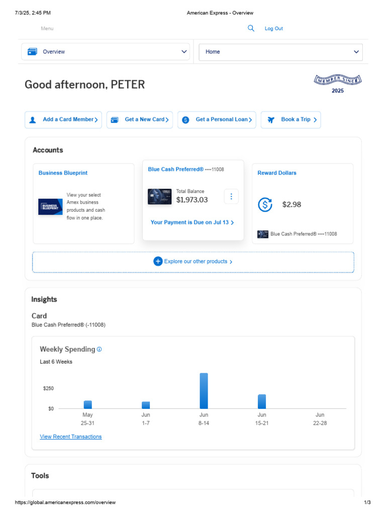 American Express Account Overview | PDF | American Express | Credit Card