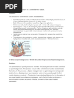 Evolution Chapter Class 12 NCERT | PDF | Homo | Natural Selection