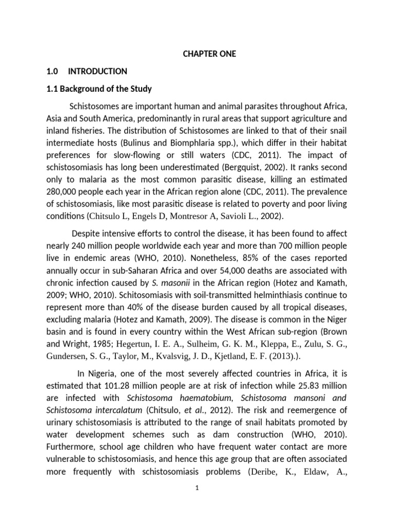 Chapter One Hafsat Noor Corrected | PDF | Medical Specialties