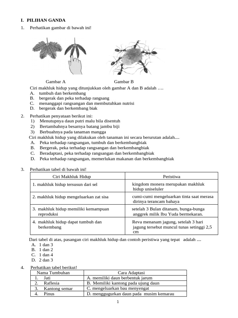 Ciri Makhluk Hidup Uniseluler | PDF