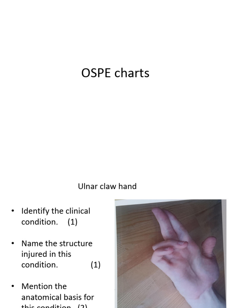 Ospe Embryo Radio (1) .Pptx-1-24 | PDF | Diseases And Disorders | Medical Specialties