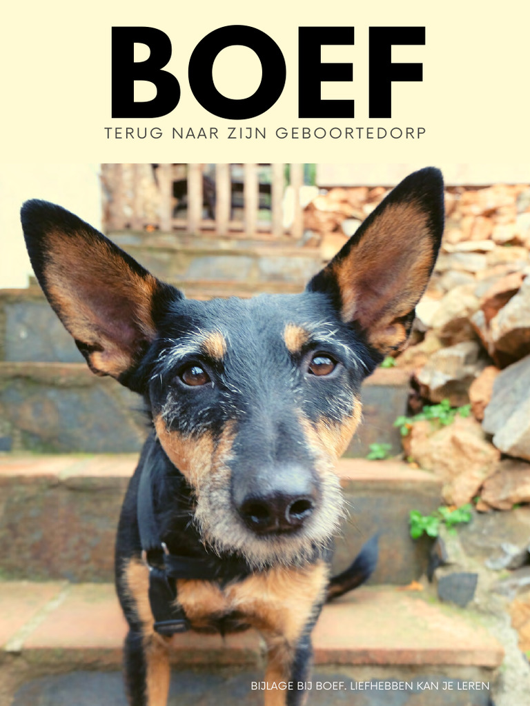 Boef. Terug Naar Zijn Geboortedorp | PDF