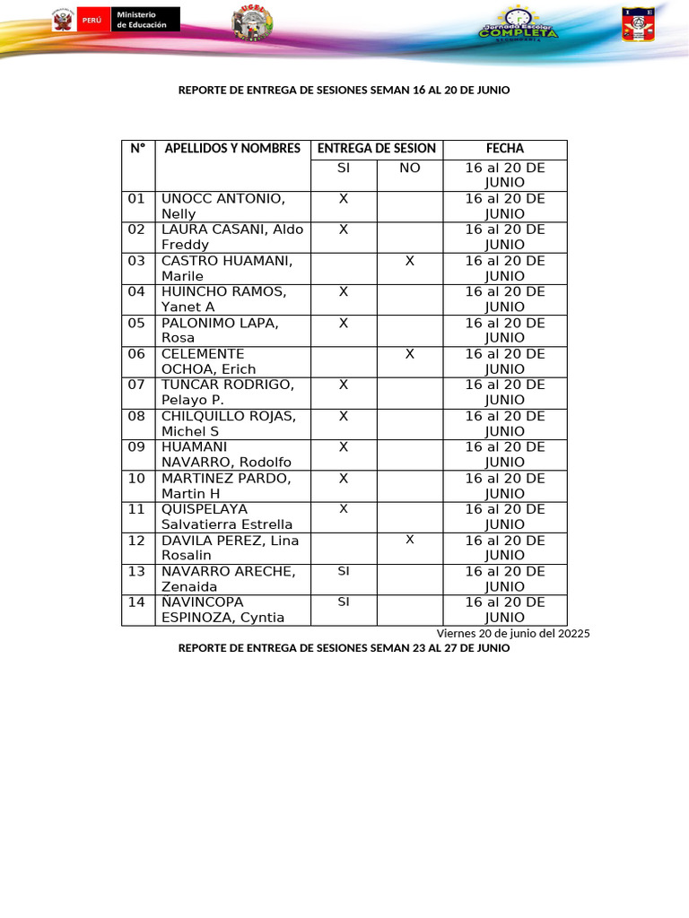 Formato de Reporte de Sesiones | PDF