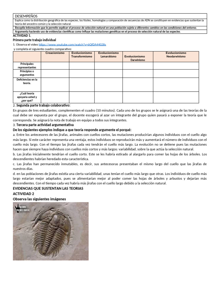 Guia Docente Evolucion. | PDF | Evolución | Homología (biología)