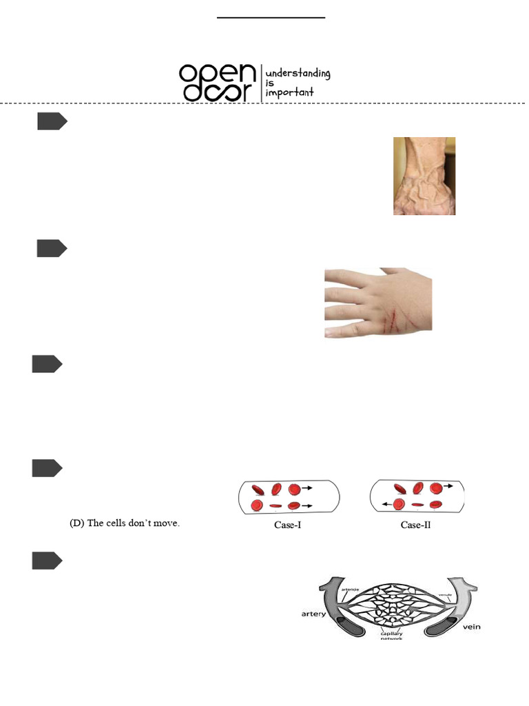 Mastery Assessment: Circulatory & Plant Systems | PDF | Animal Anatomy ...