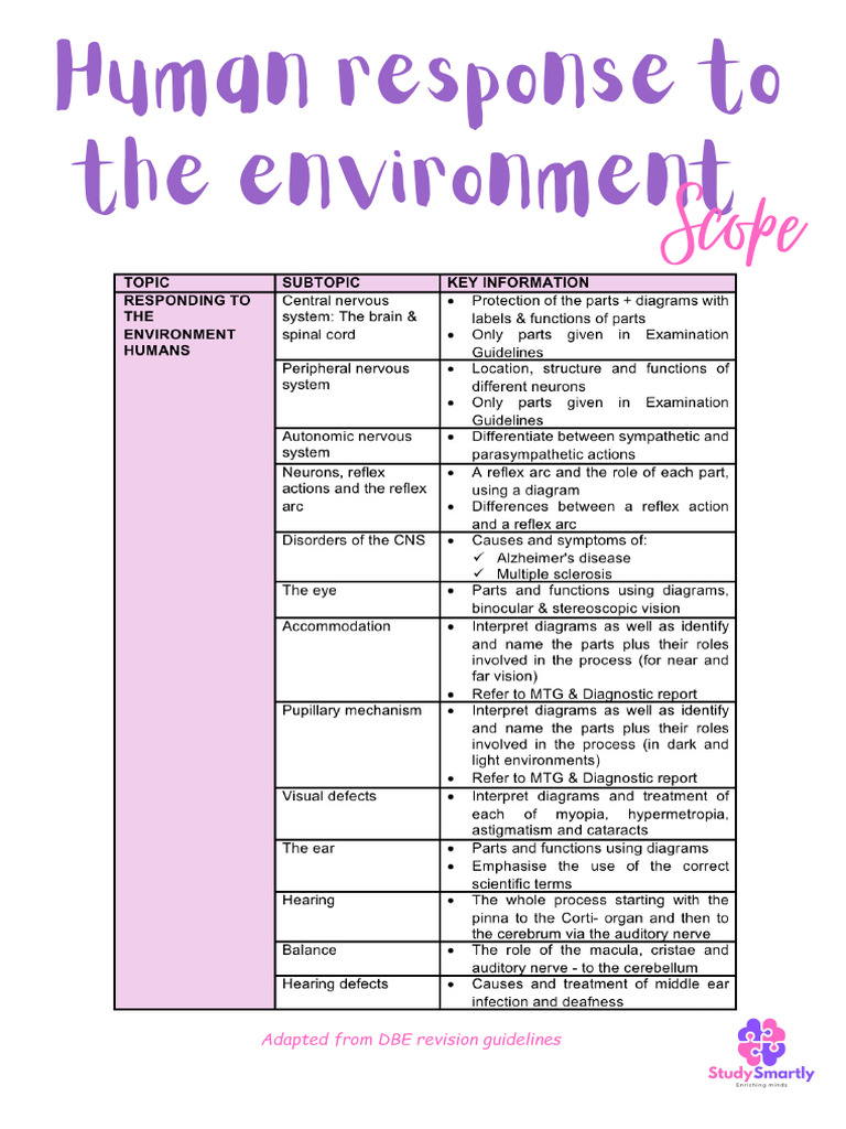 Responding To The Environment | PDF | Nervous System | Neuron