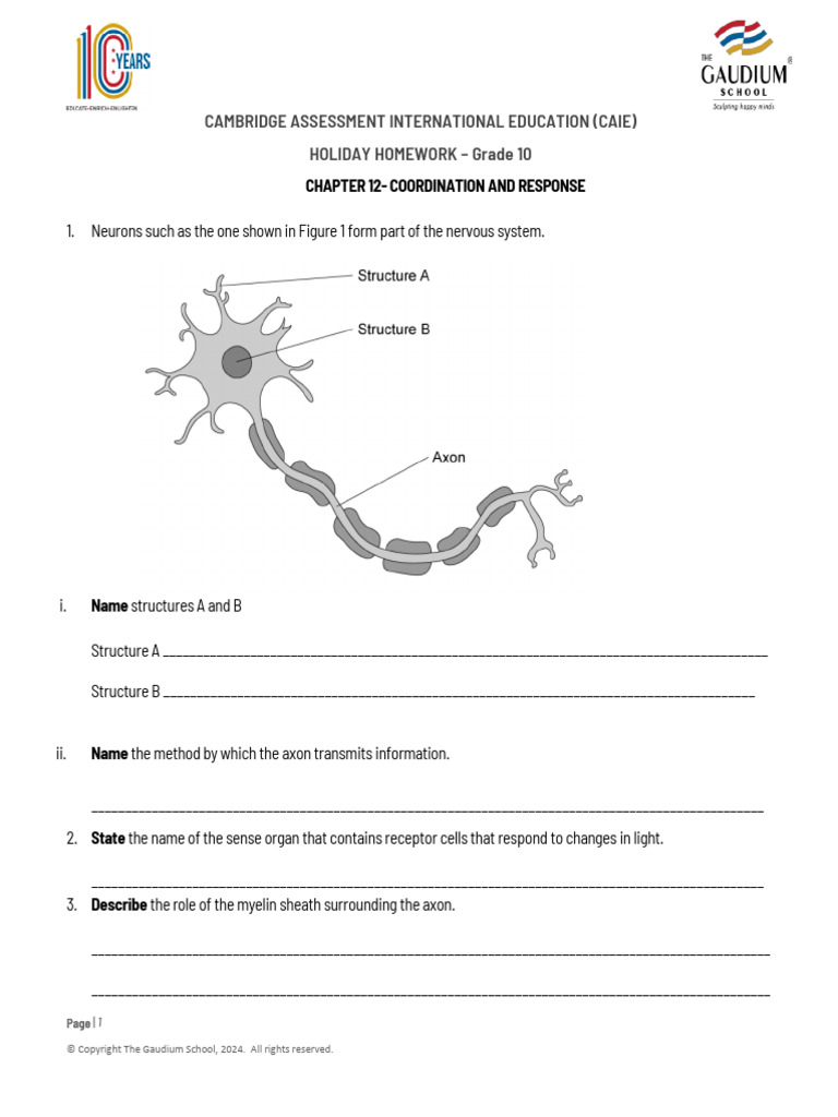 CI 10 - Bilogy-Holiday Homework | PDF | Nervous System | Neuroscience