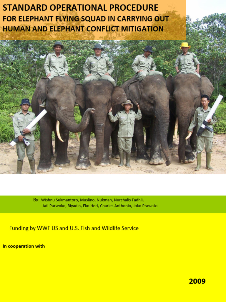 SOP Flying Squad English | PDF