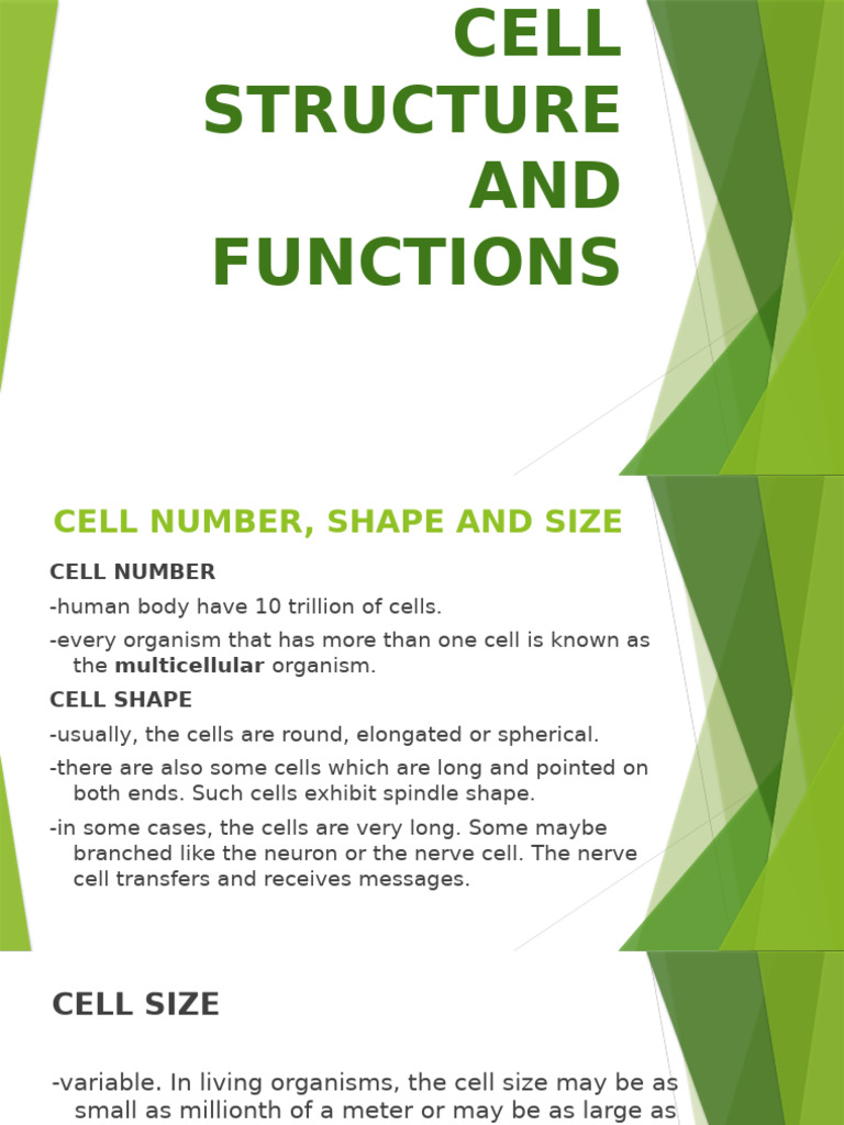THE CELL STRUCTURE AND FUNCTION_110817 | PDF | Cell (Biology ...