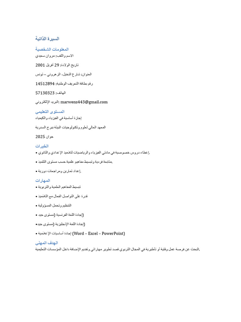 CV Marwen Saidi | PDF