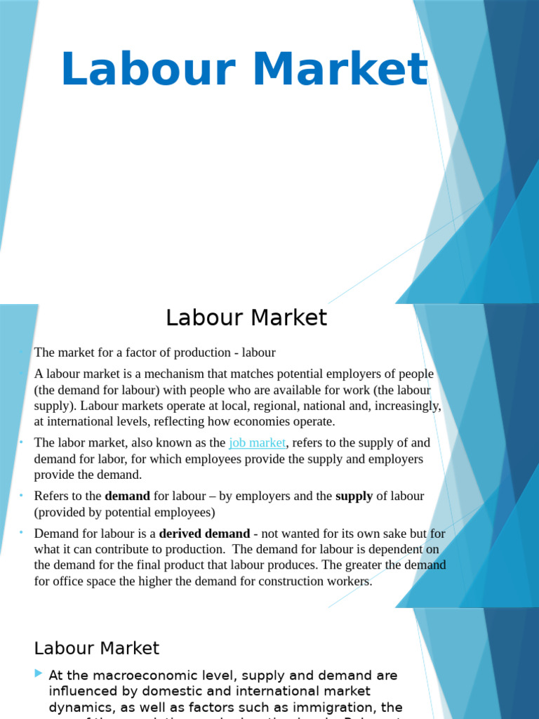 Understanding the Labour Market Dynamics | PDF | Labour Economics ...