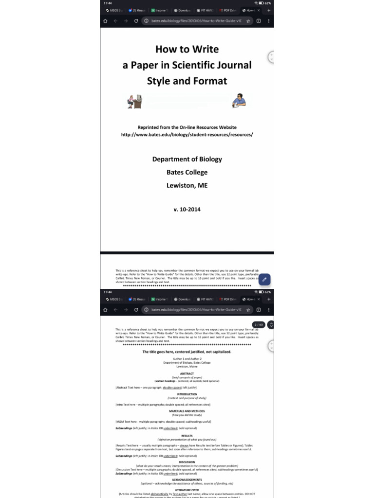 Tips On Writing A Journal | PDF
