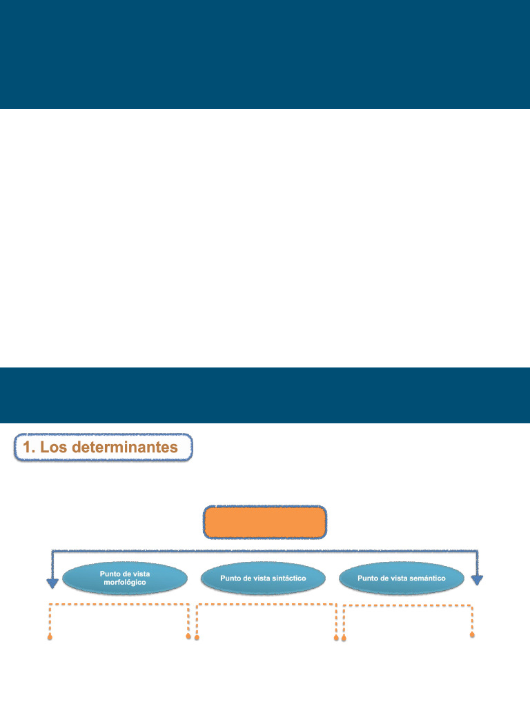 Determinantes y Pronombres | PDF | Adjetivo | Adverbio