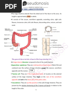 Detailed Anatomy of Appendix and Colon | PDF | Large Intestine | Anatomy