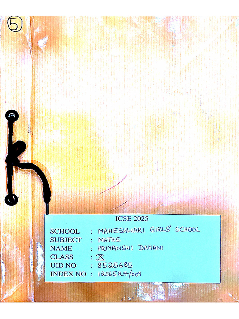 Math Project Class 10 29-Apr-2025 8-33 PM | PDF