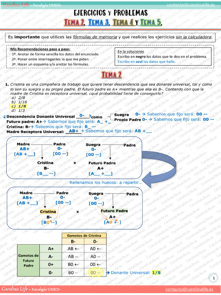 Ejercicios y Problemas 2 | PDF