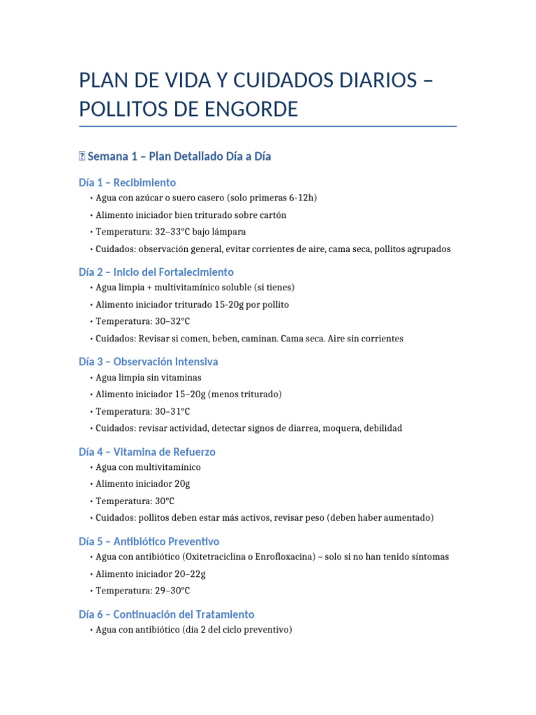 Plan Cuidados Diarios Pollitos Mily | PDF