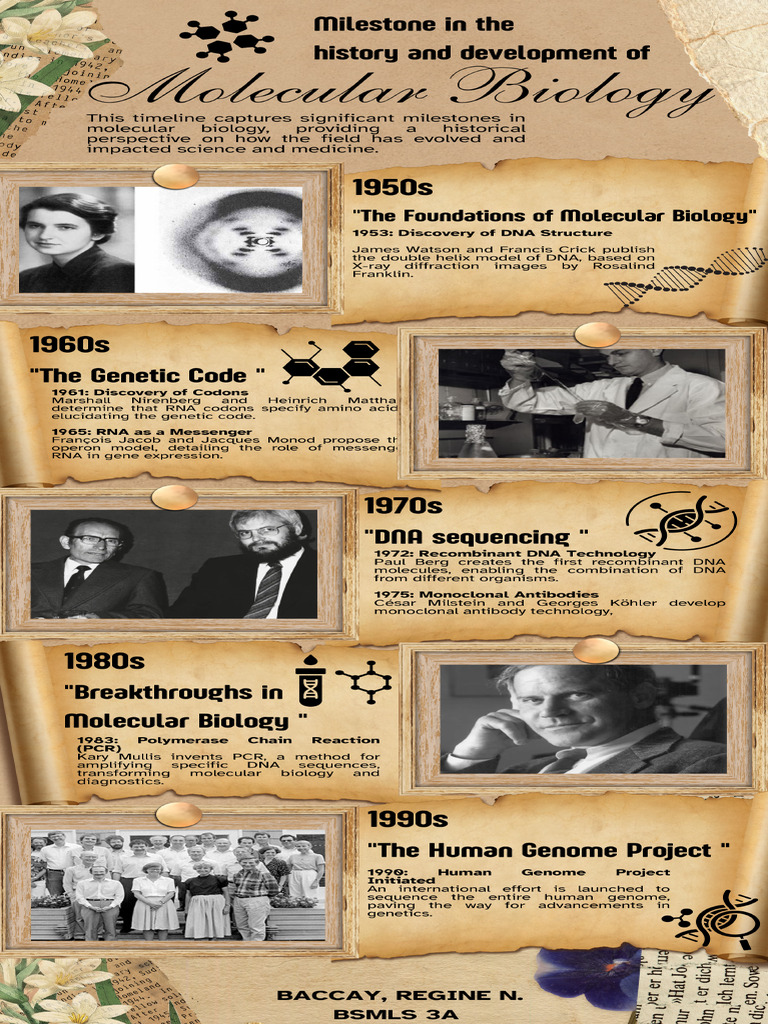 Brown Vintage Museum of History Infographic - 20241102 - 025034 - 0000 ...