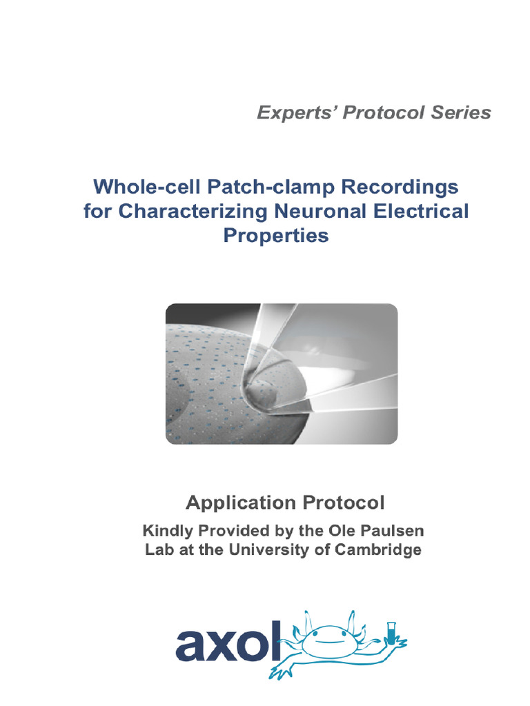 Patch Clamp Protocol Final | PDF | Inhibitory Postsynaptic Potential | Excitatory Postsynaptic ...