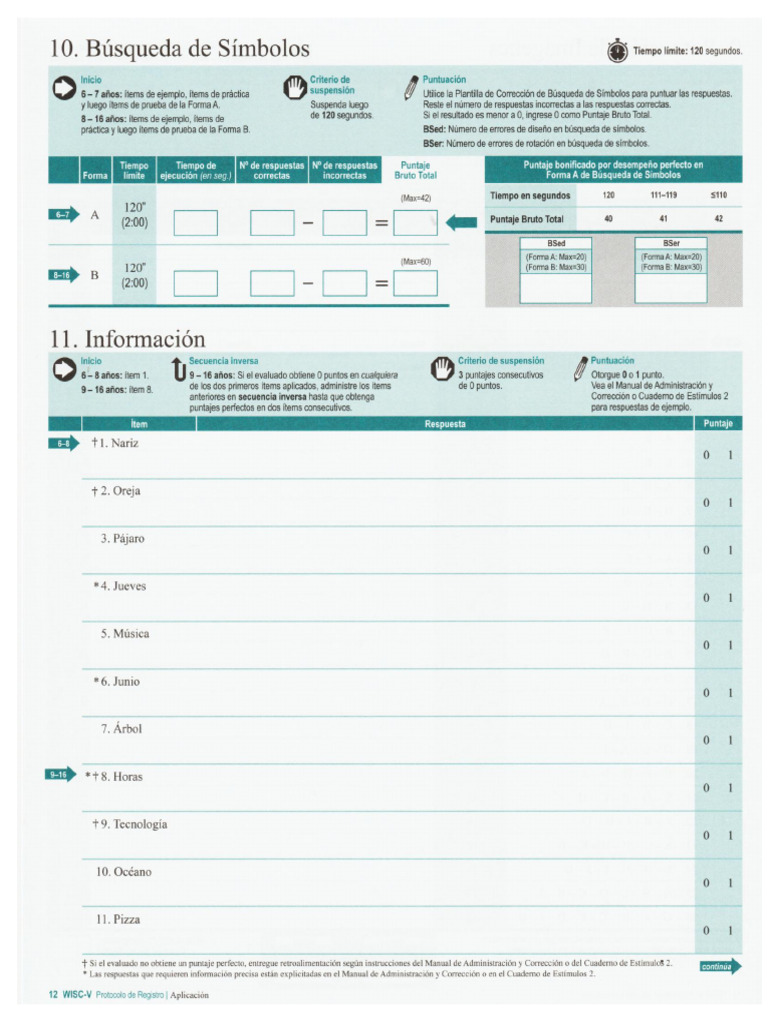 Protocolo de Registro WISC-V | PDF