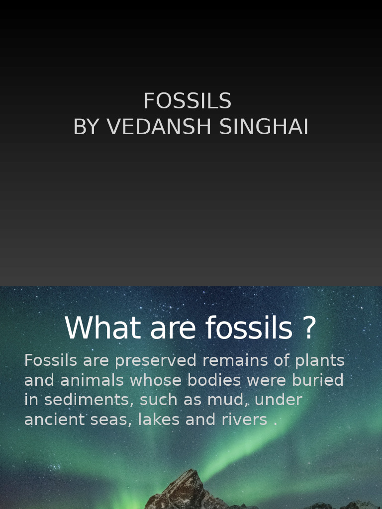 Fossils | PDF