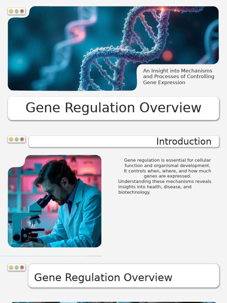 Gene Regulation Overview | PDF | Regulation Of Gene Expression | Gene ...